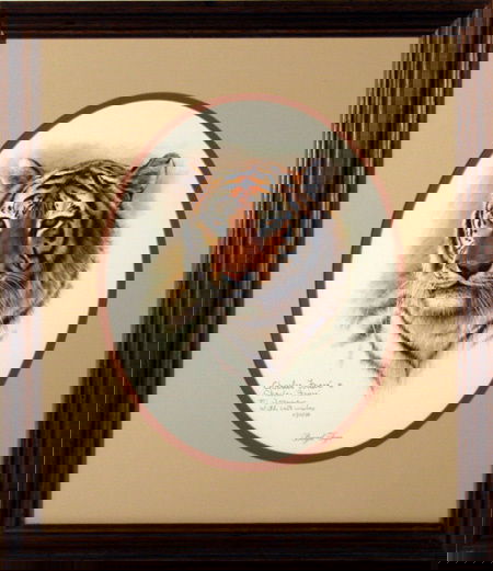 15: Charles Frace Framed Wildlife Print, Bengal Tiger