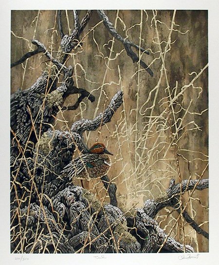 2805: Chris Forrest Signed lithograph, Wildlife Art