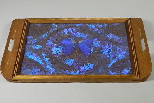 Butterfly Wing Tray