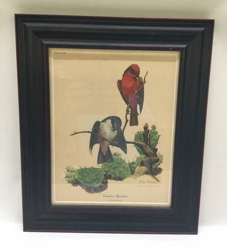 Ray Harm Signed Print ?vermilion Flycatcher? Plate Iii