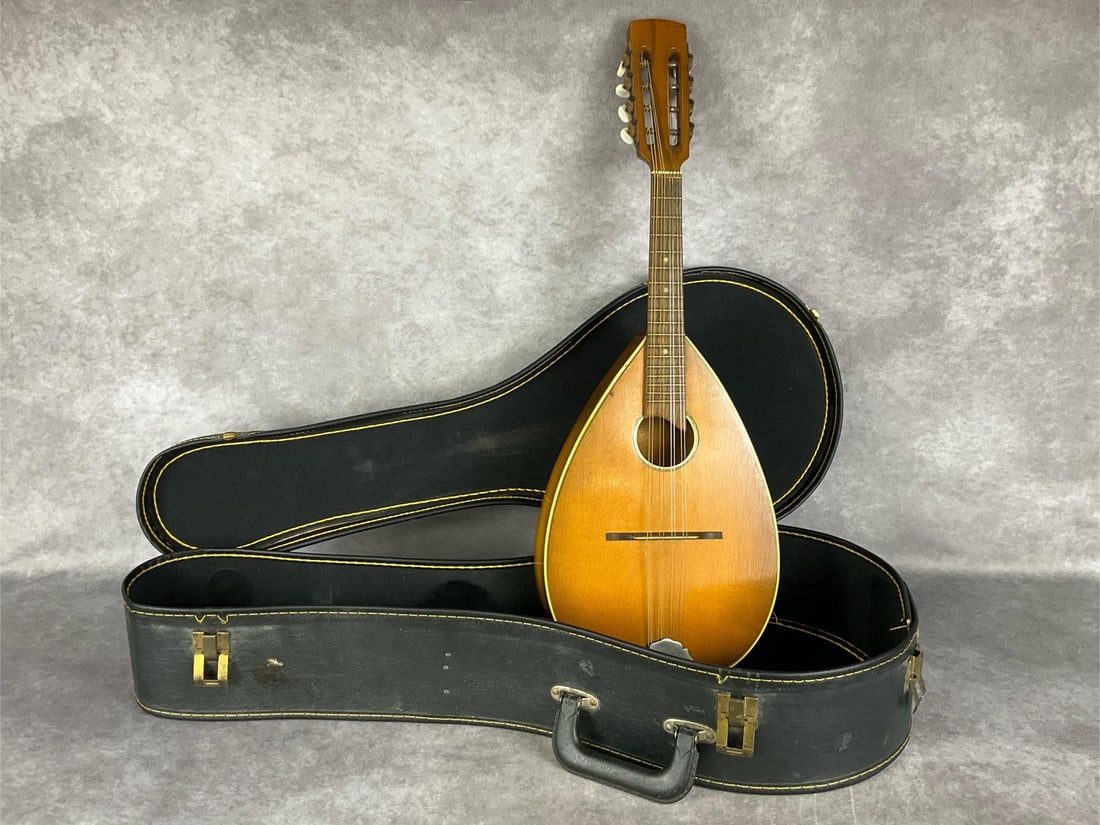 Vintage German Mandolin Auction