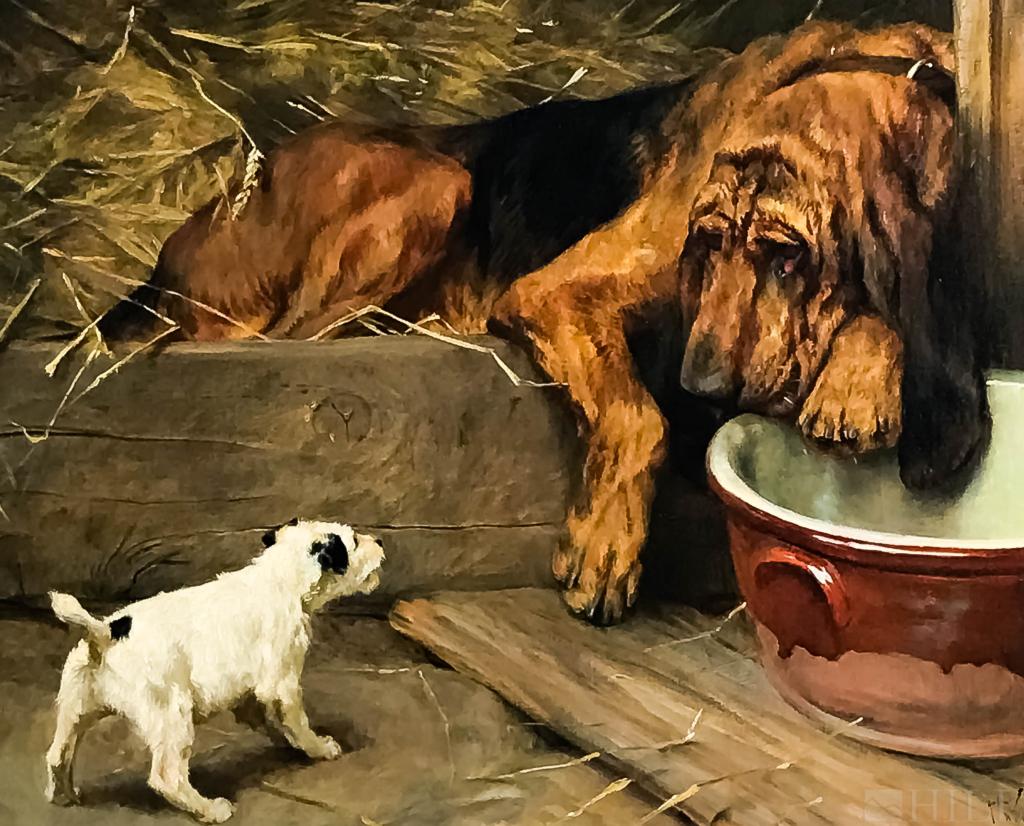 Arthur Wardle (British, 1864-1949) Dog Oil Painting - Nov 20, 2019 ...