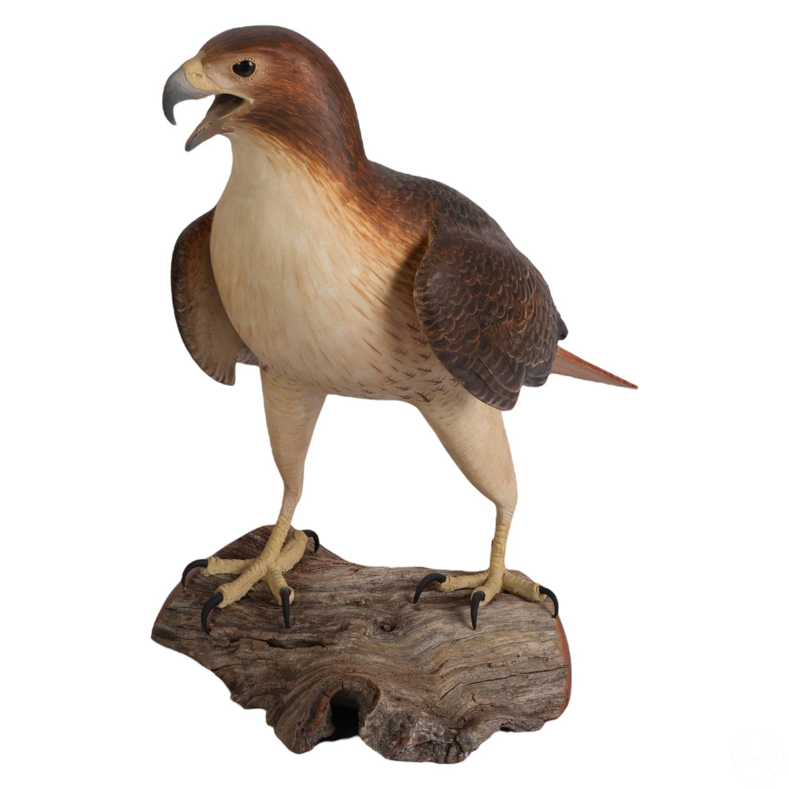 Realistic Red Tailed Hawk Carved Wooden Sculpture Auction