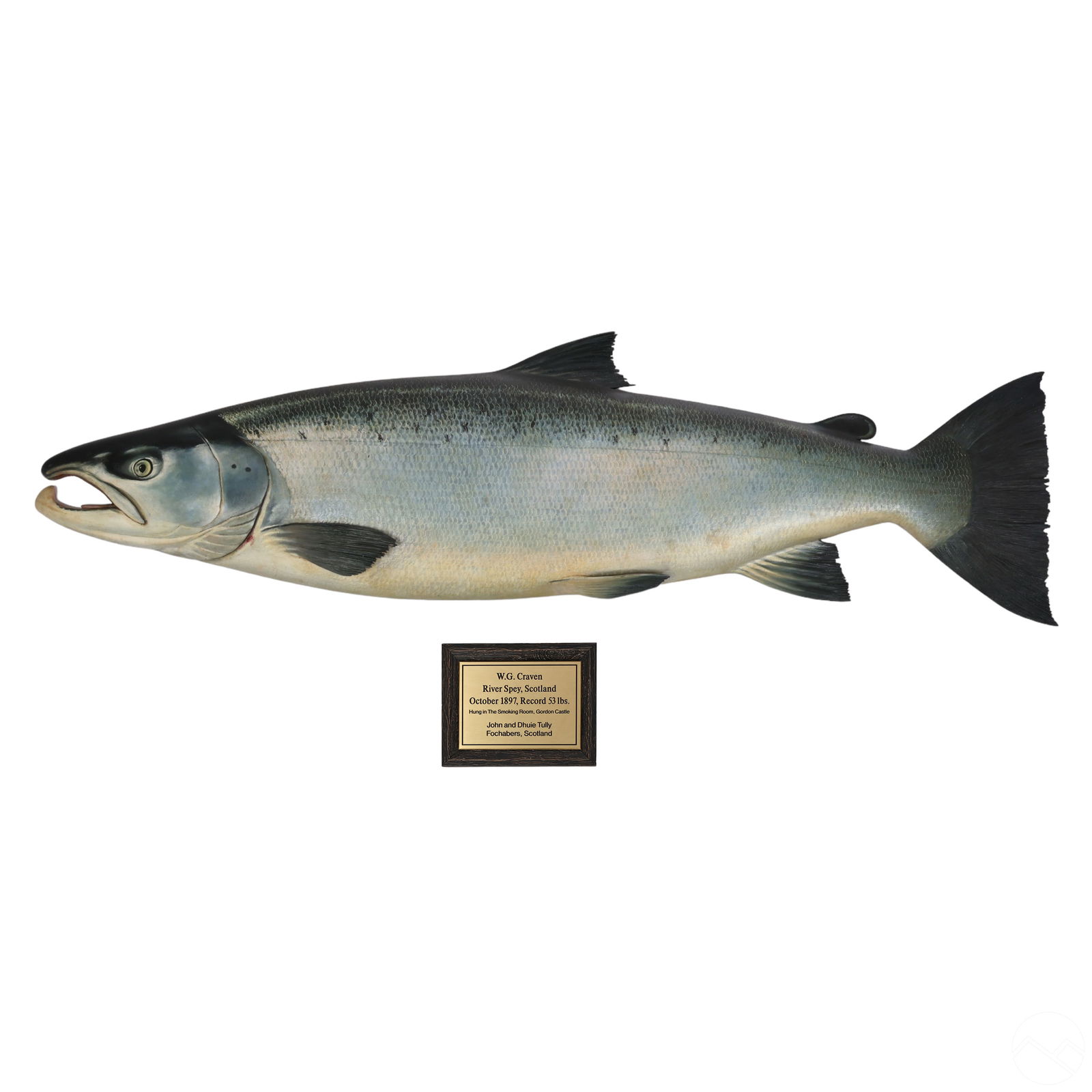 John And Dhuie Tully Atlantic Salmon Trophy Model Auction