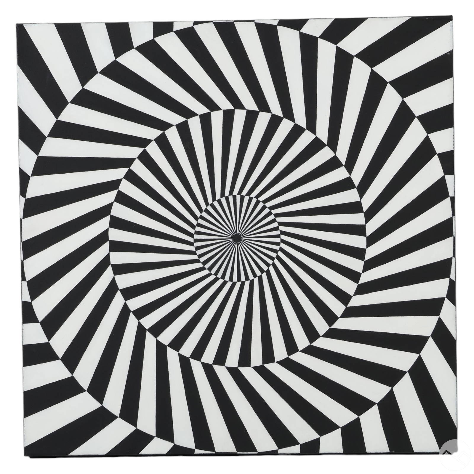 Tim Ray Fisher B1969 Black & White Op Art Painting Auction
