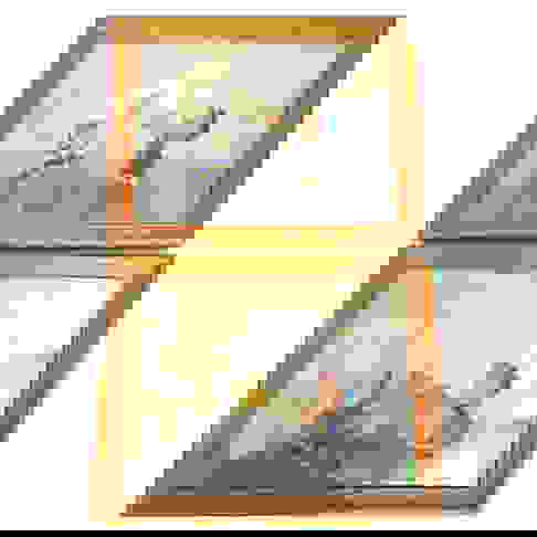 Lot Of 2 Early Original Walt Disney Cells Auction