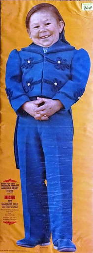 Mihaly "michu" Meszaros R.b.b.b. Poster