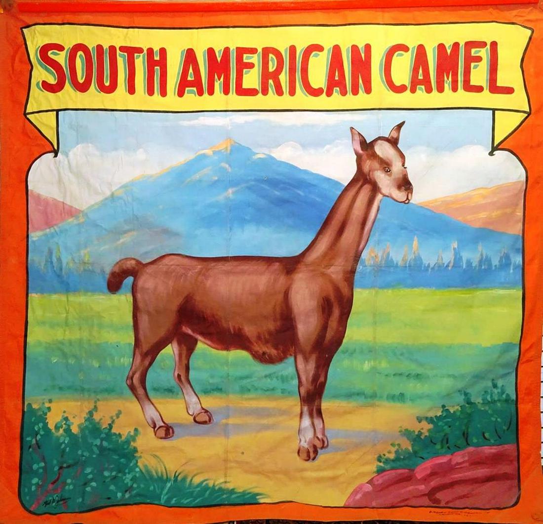 SOUTH AMERICAN CAMEL ATTRACTION BANNER - Jan 11, 2020 | Freedom Auction ...