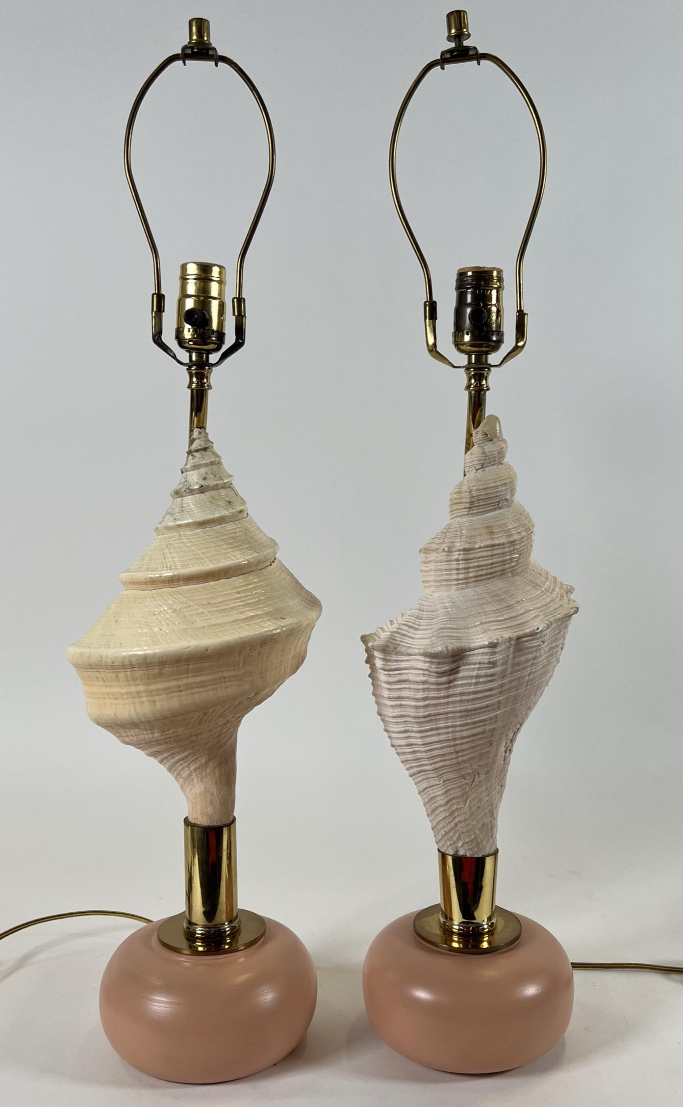 Conch Shell Table Lamps