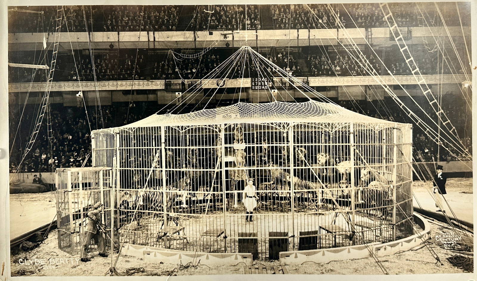 Edward J. Kelty Photograph - Clyde Beatty Auction