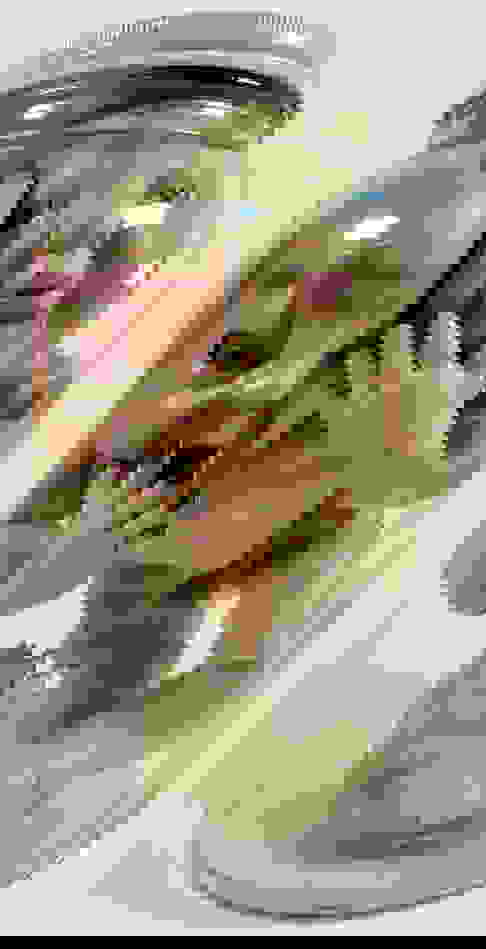 Sideshow Specimen Gaff - Two-headed Alien Baby Auction