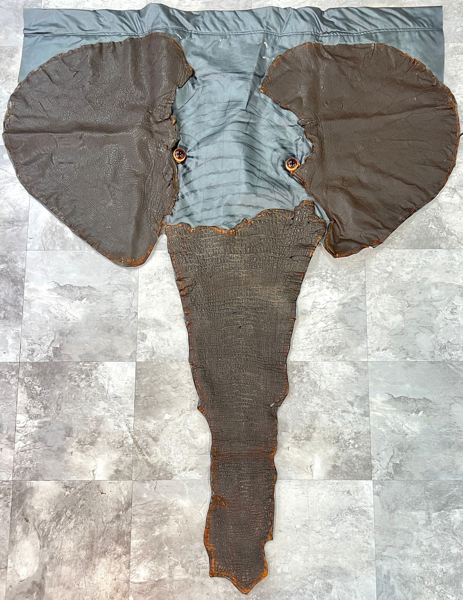 Taxidermy - Pygmy Elephant Leather Hide Auction
