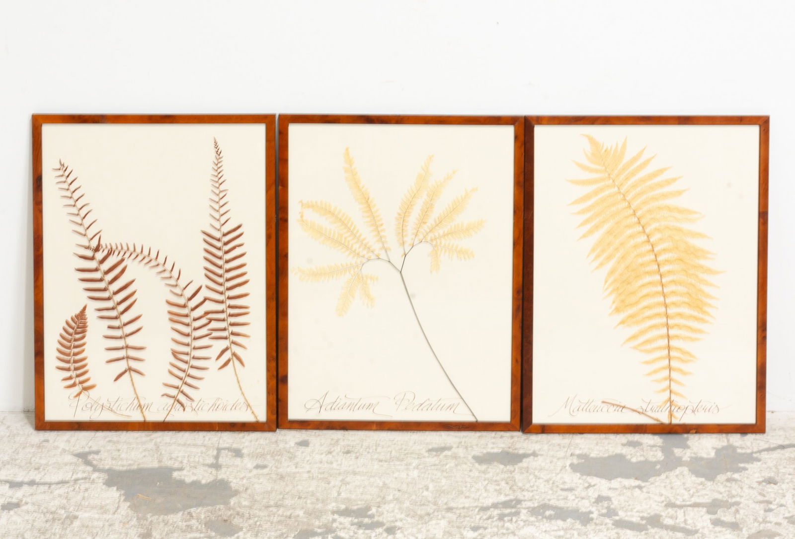 The Tom Samet Collection: Summer Entertaining starts on 5/12/2025