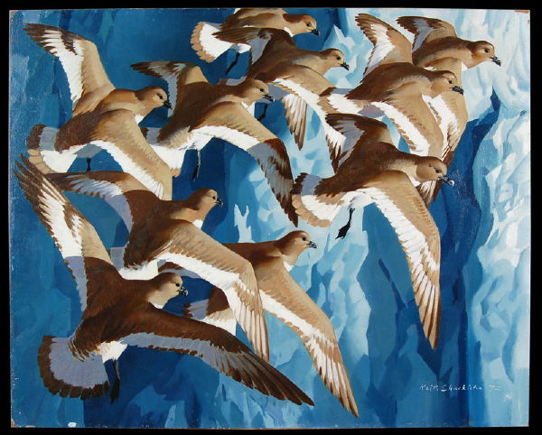 19: Keith Shackleton oil painting on board, "Antarctic