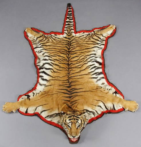 Bengal Tiger Full Head Taxidermy Rug