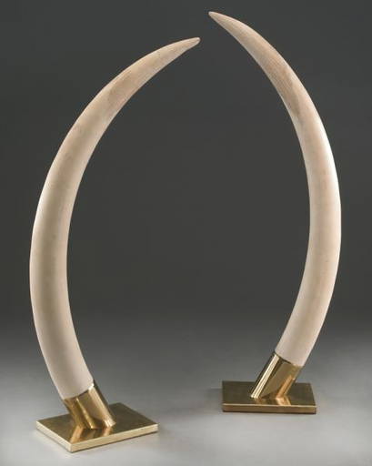 Pr. African Elephant Ivory Tusks,