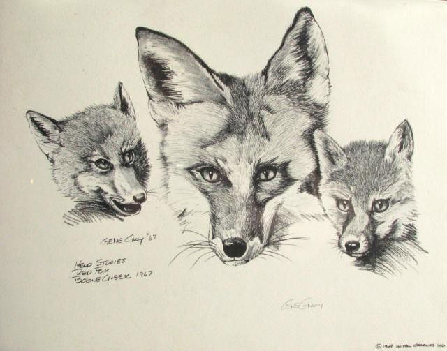 727: Gene Gray Artist Portfolio 'Field Sketches'
