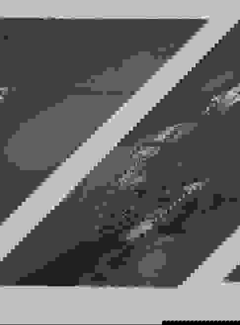 Etching After Rembrandt "portrait Of Jew Merchant" Auction