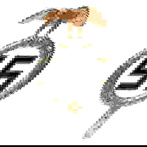 An Nsdap Standard "deutschland Erwache" Finale Auction