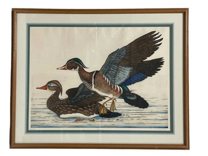 Dan Mitra Wood Duck Print 39.5"
