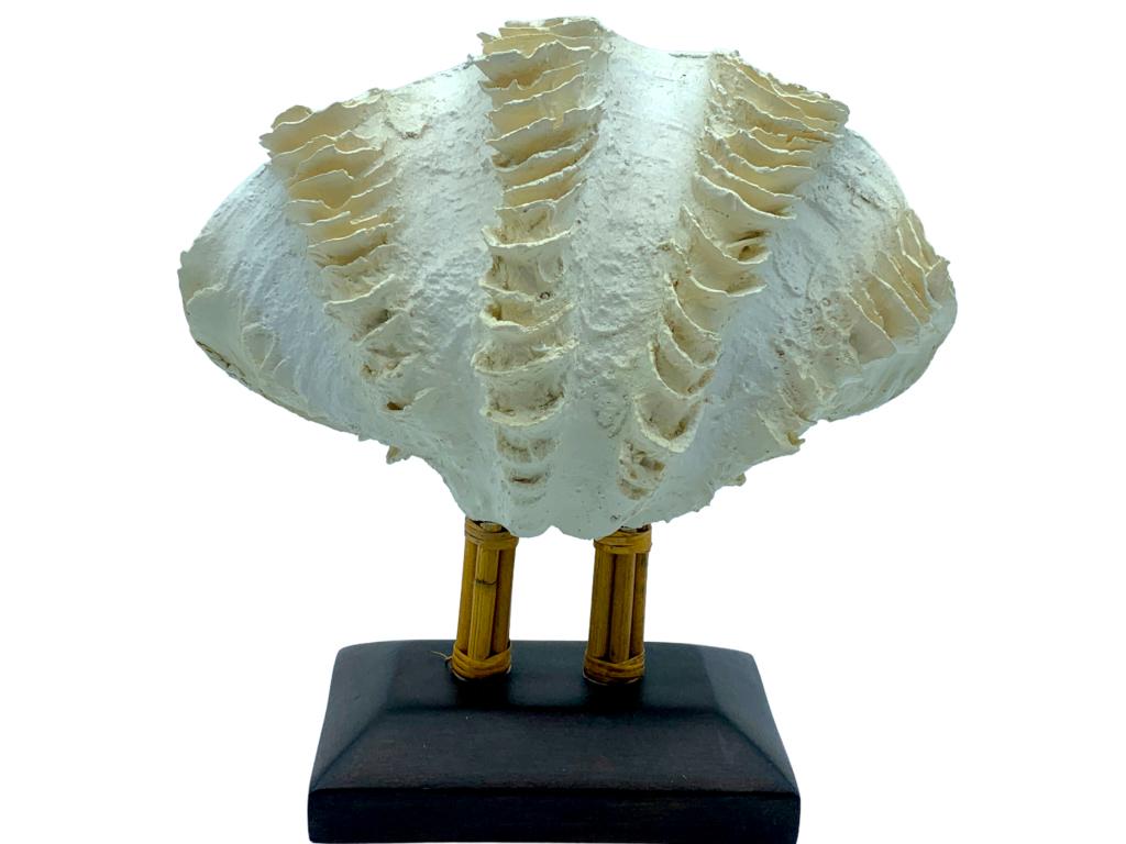 CLAM SHELL SCULPTURE WITH BAMBOO & EBONY MOUNT - Dec 06, 2022 | DejaVu ...