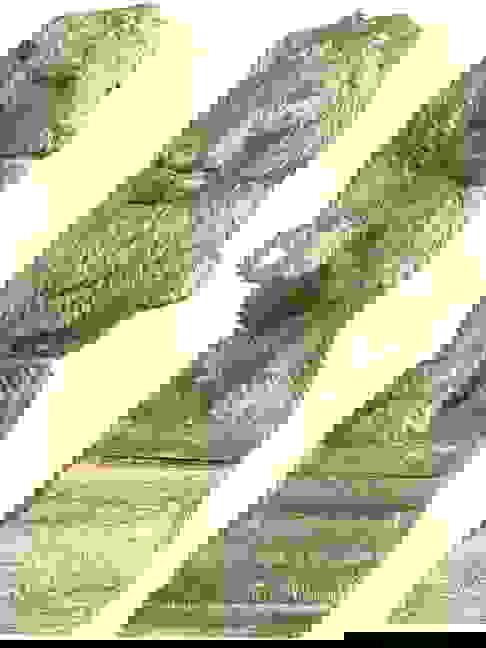 Pair Of Concrete Lion Front Entry Statues 34" Auction