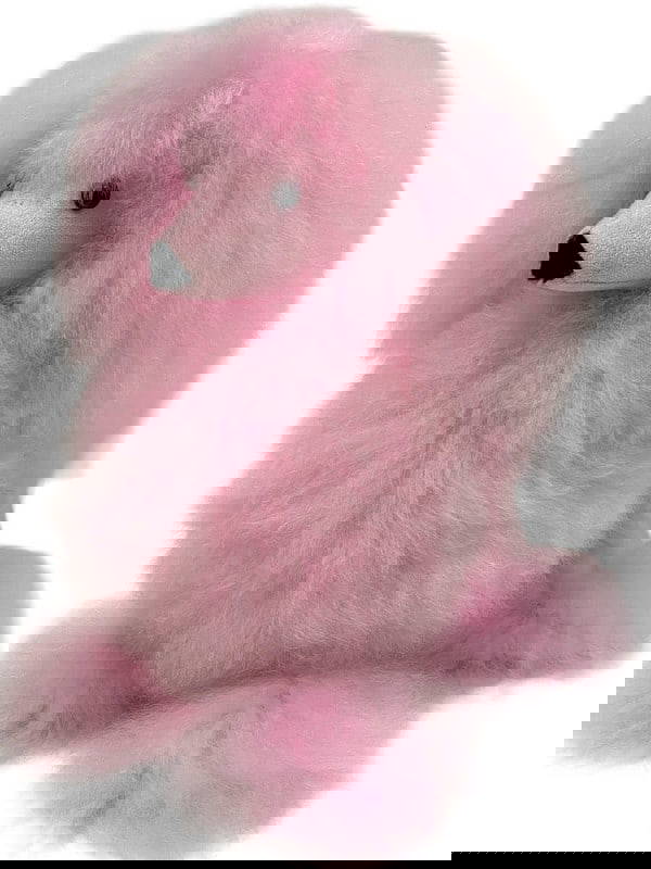 Designs By Yanina Pink Poodle Stuffed Animal 11" Auction