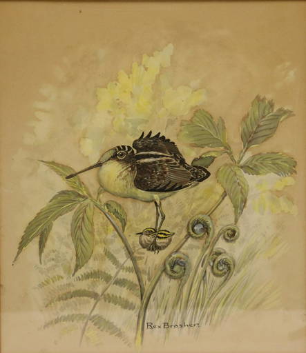 Rex Brasher Signed Watercolor Bird.
