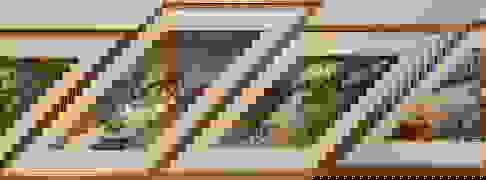 Raul Colon (american, B. 1950). Auction