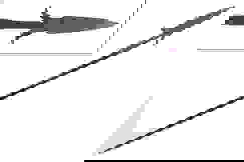 Old Philippine "pahul" Gayang Or Kay-yan War Spear W/ Rattan Wrapping ...