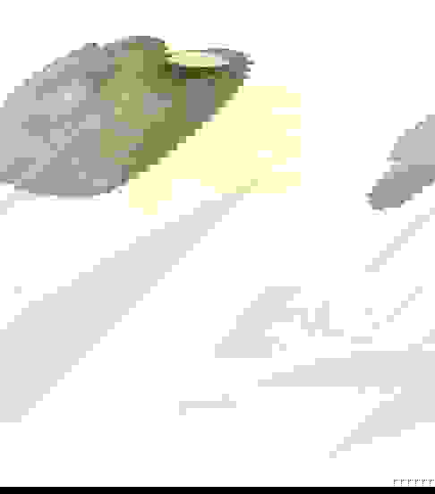 Costa Rican Ceremonial Bird Mace Head Auction