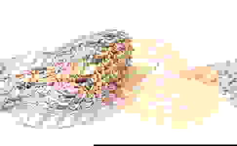 Massive Seventeen Inch Long Triton Conch Shell Auction