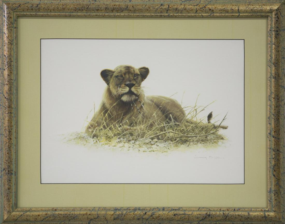 CRAIG BONE 'LIONESS' OIL PAINTING ON PAPER - Jun 13, 2020 | Antiques ...