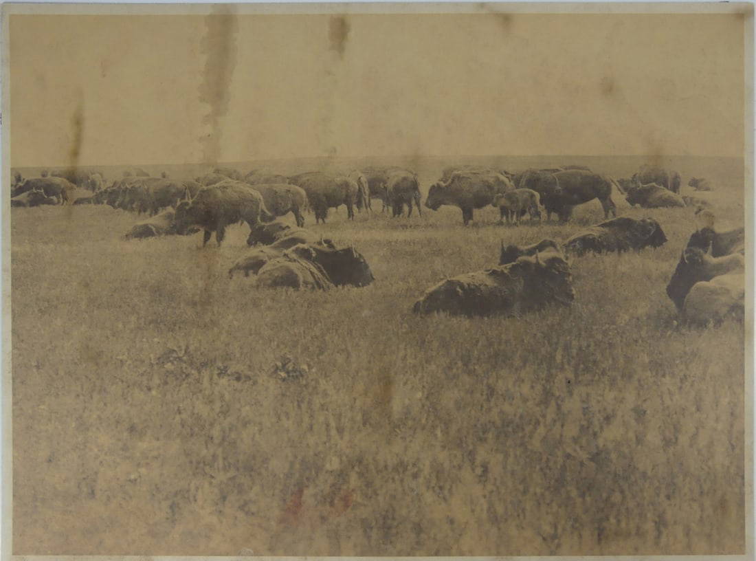 Edward Curtis 'the Old Days' Vintage Sepia Print Auction