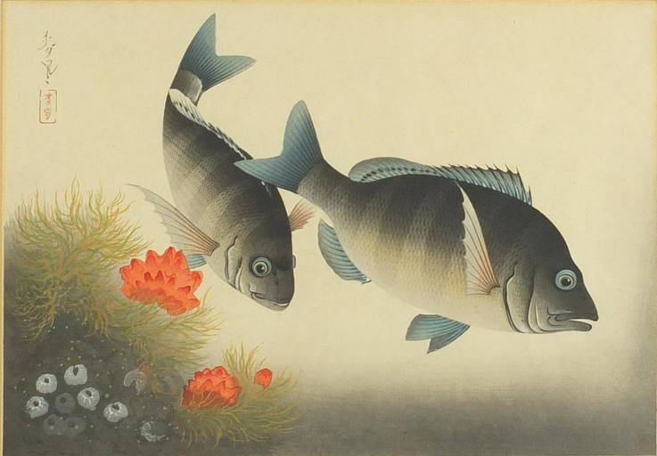 Ohno Bakafu Black Sea Bream, Japanese Wood Block