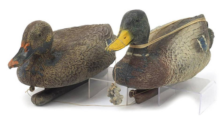 Two Italian Decoy Ducks, One With A Yellow Beak, One