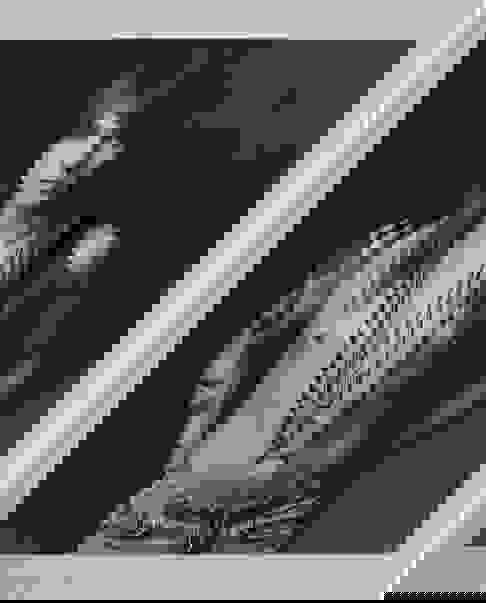 Herb Ritts American 1952-2002 Portrait Axl Rose Signed Photograph Auction