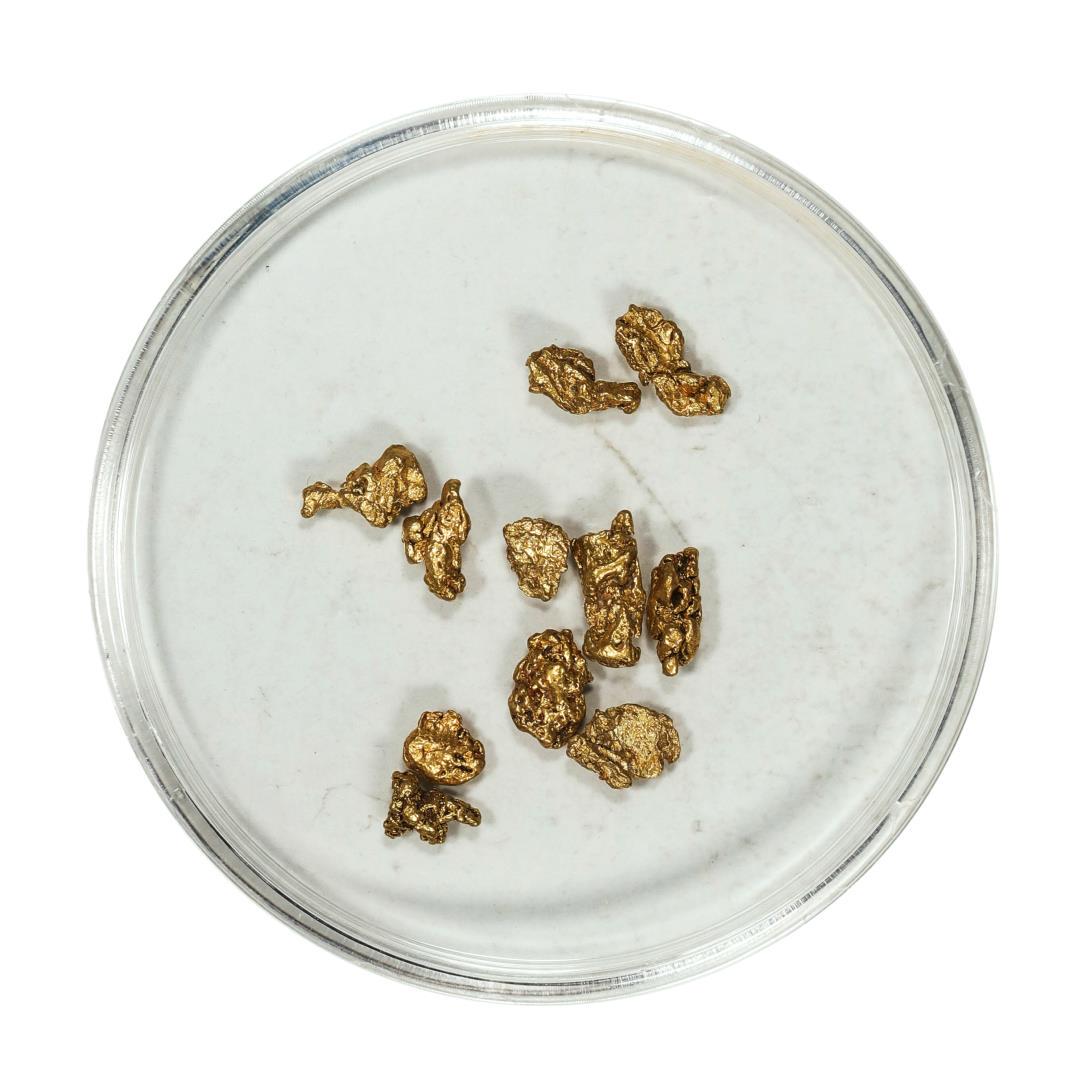 Gold Nuggets 1.64 Grams Total Weight