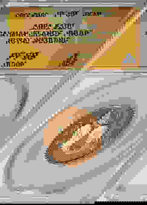 1981 $100 Proof Cayman Islands Royal Wedding Gold Coin Anacs Pf69dcam ...