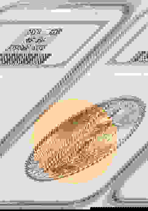 1924 $20 St. Gaudens Double Eagle Gold Coin Ngc Ms64 Auction