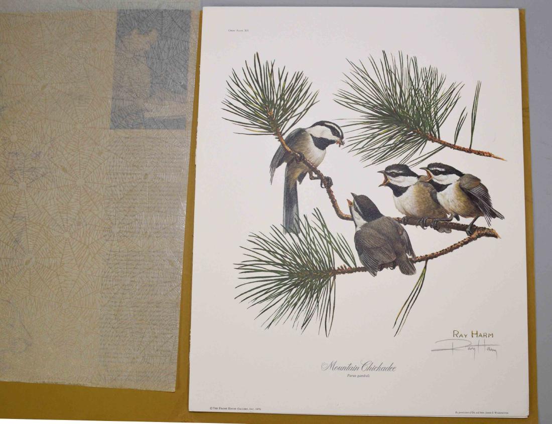 RAY HARM ''Mountain Chickadee''. Signed in pencil.