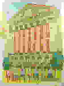 Susan Meisel Colored Litho.