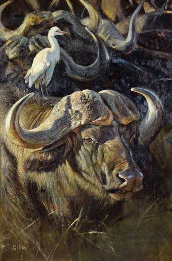 Matthew Hillier (england (uk), B. 1958) ''buffalo