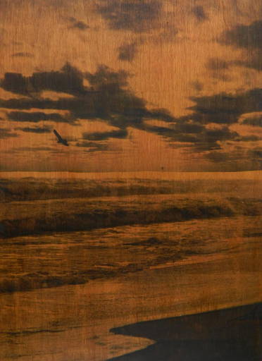 Robert Bery Silver Emulsion On Wood