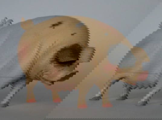 Michael Kluck Wood Sculptures