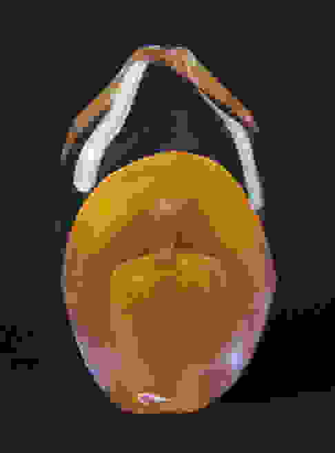 Dominick Labino Glass Sculpture Auction