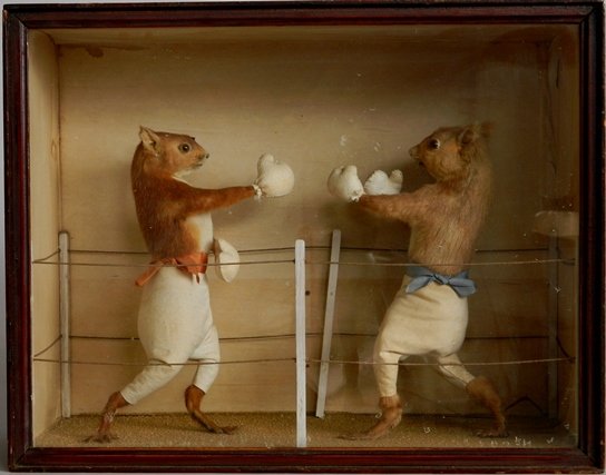 William Hart & Sons boxing squirrels
