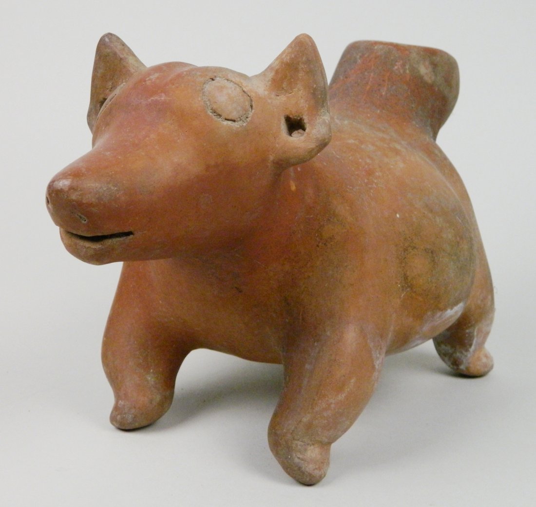 Pre-Columbian dog