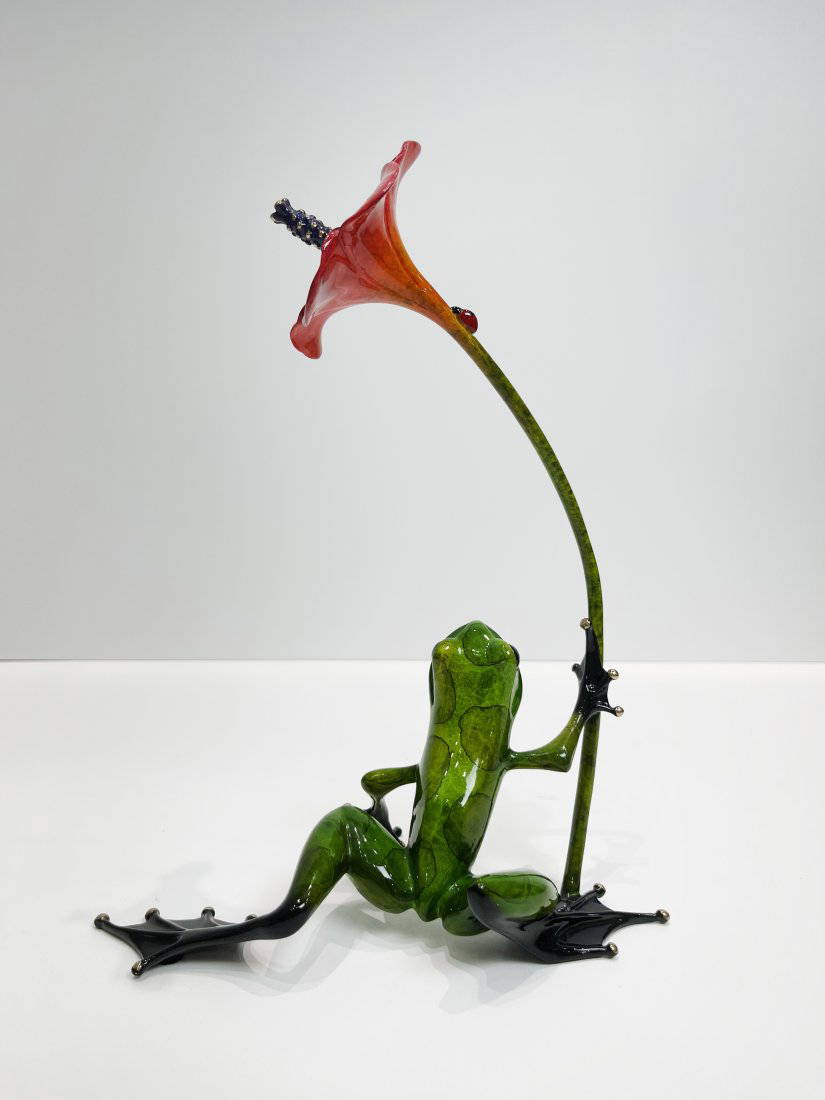Tim Cotterill Frogman 'hibiscus' - Limited Edition Bronze Frog ...