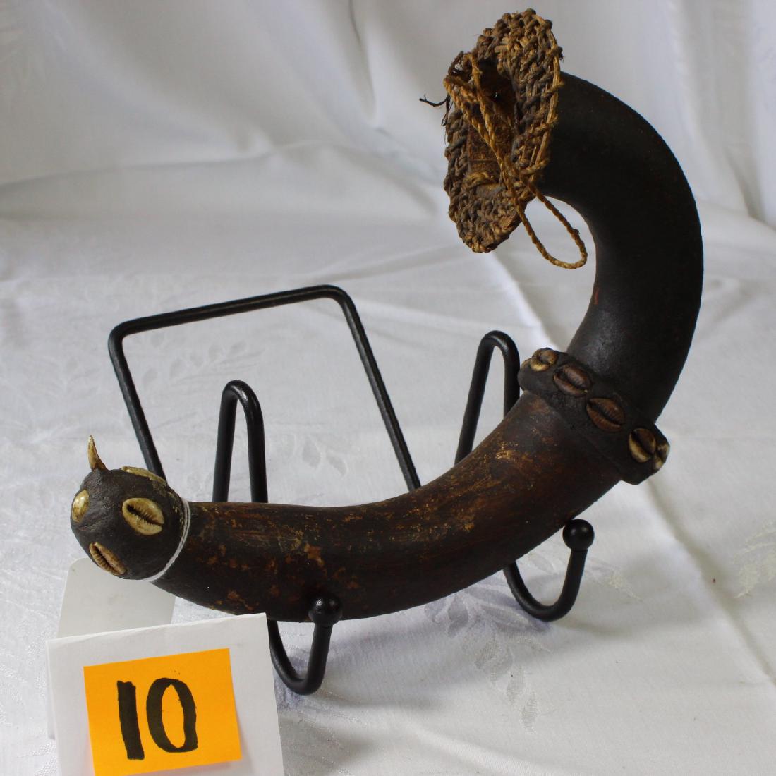 Papua New Guinea Koteka Penis Gourd Sheath Cowrie Shell